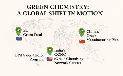 The 12 Principles of Green Chemistry Explained with Powerful Examples ...
